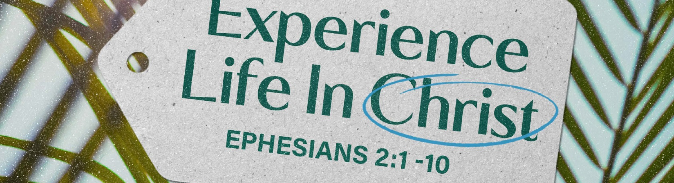 Experience Life in Christ – Felicia Journey